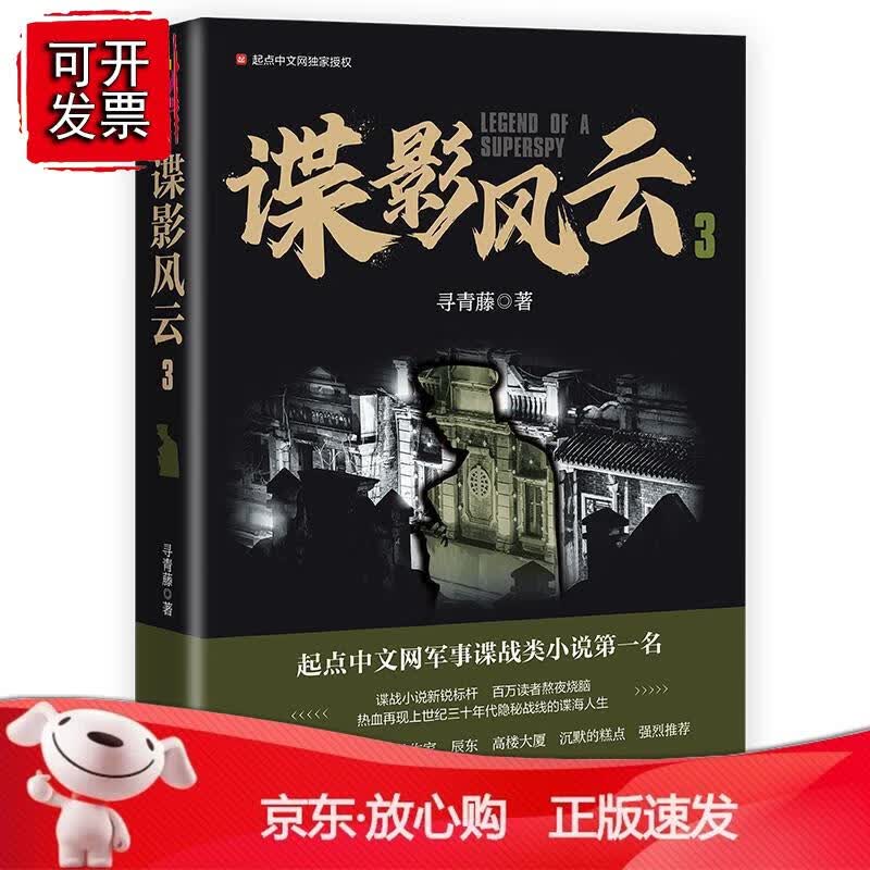 谍影风云 3