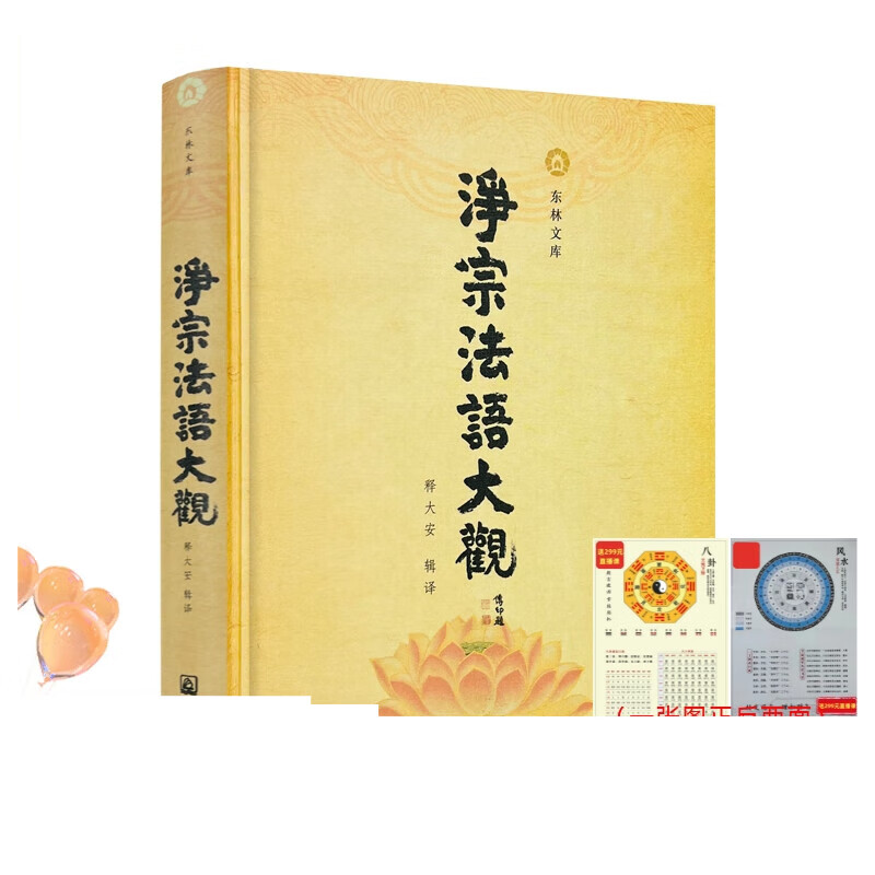 净宗法语大观 东林文库释大安辑译 320页