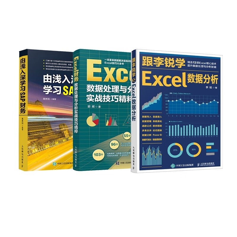 财务数据分析三件套：Excel数据分析+Excel财务处理+SAP财务（套装3册）