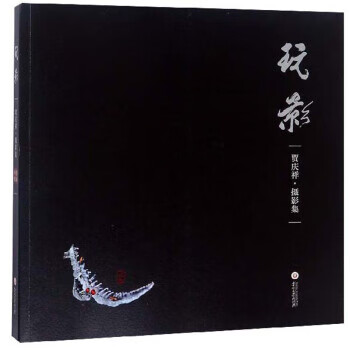 玩影 贾庆祥 著