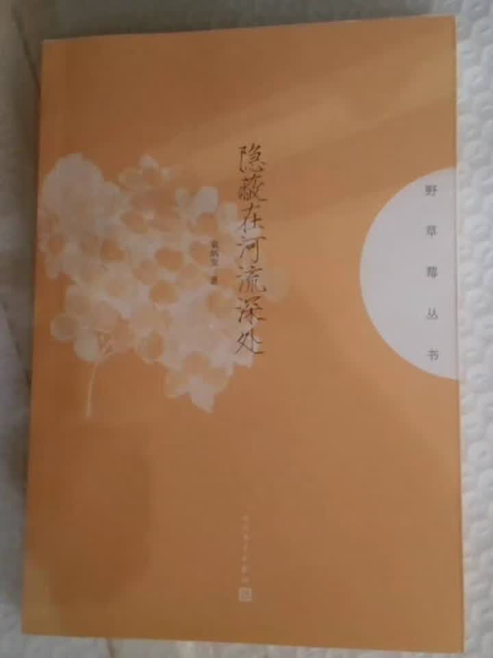 隐蔽在河流深处