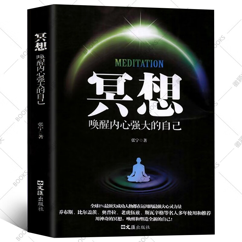冥想：唤醒内心强大的自己 缓解压力抑郁焦虑精神疲劳 提升专注力记忆力 简易快速入门心理学书籍打坐修行书