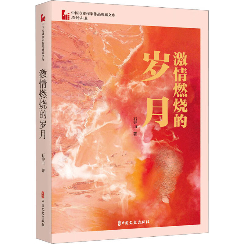 激情燃烧的岁月 图书