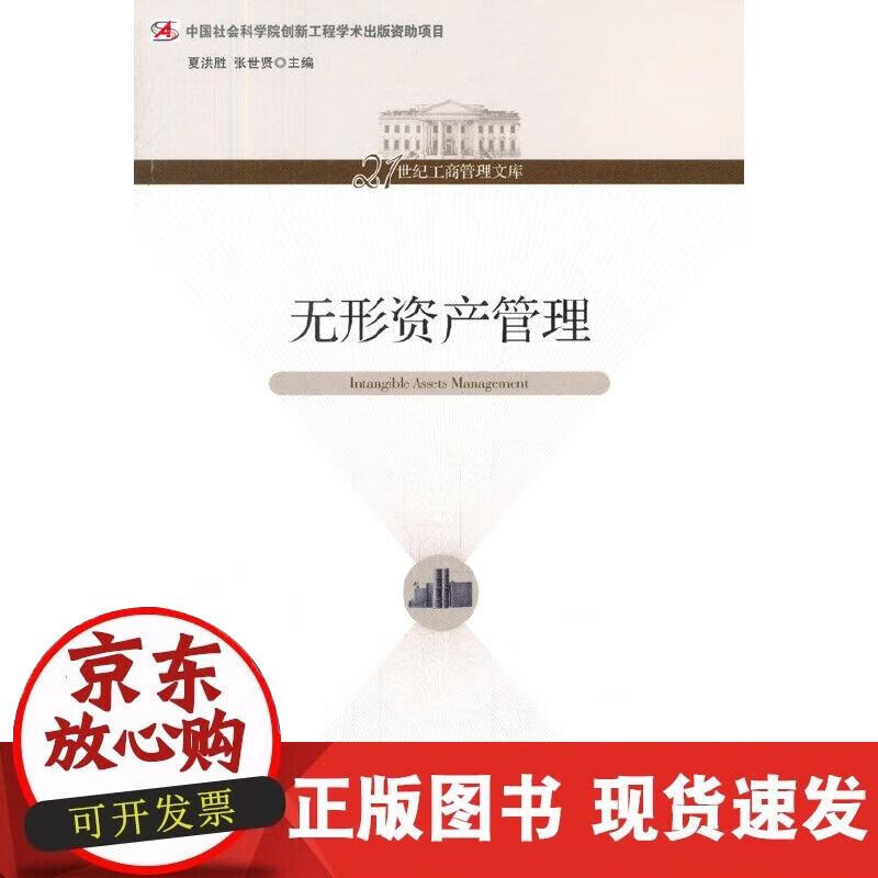 【现货】无形资产管理