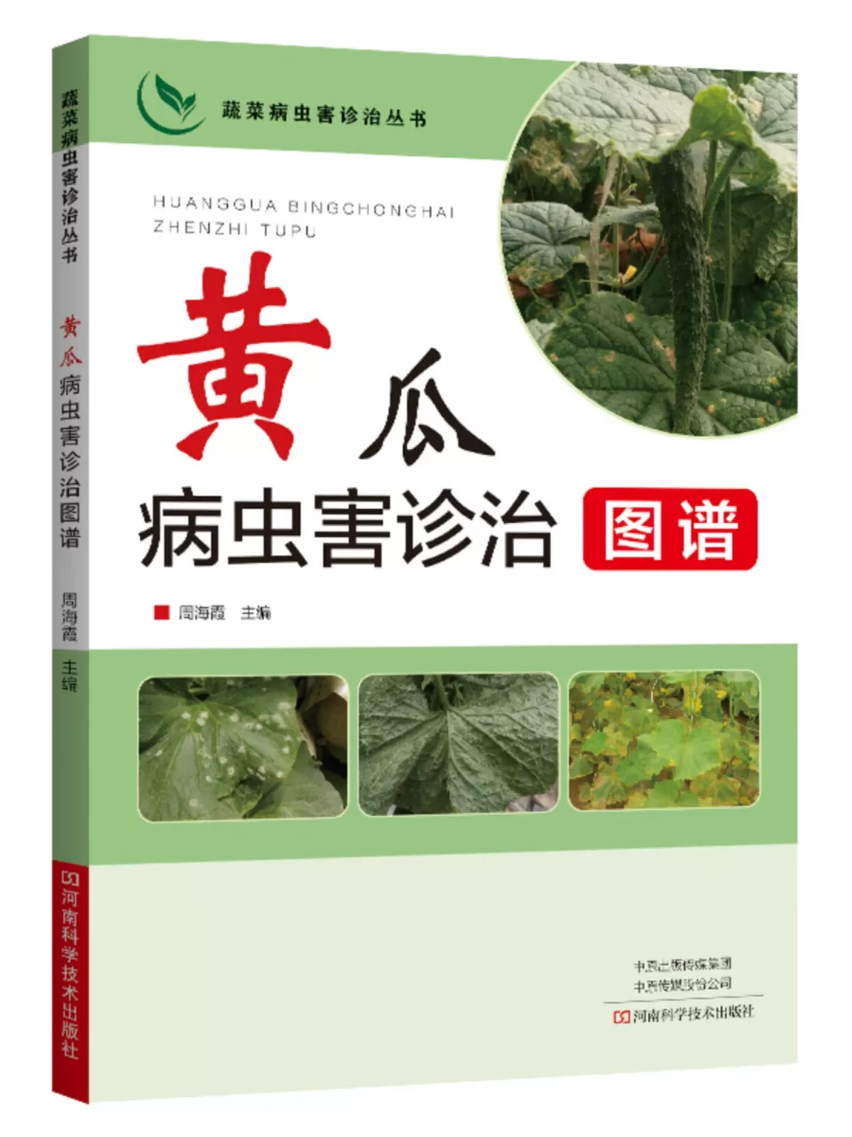 黄瓜病虫害诊治图谱 周海霞 黄瓜病害防治教程种黄瓜的书 大棚蔬菜种植技术大全书籍棚室黄瓜育苗管理教程 无土栽培书籍
