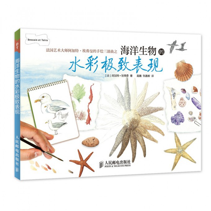 海洋生物的水彩极致表现