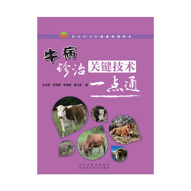 牛病诊治关键技术一点通