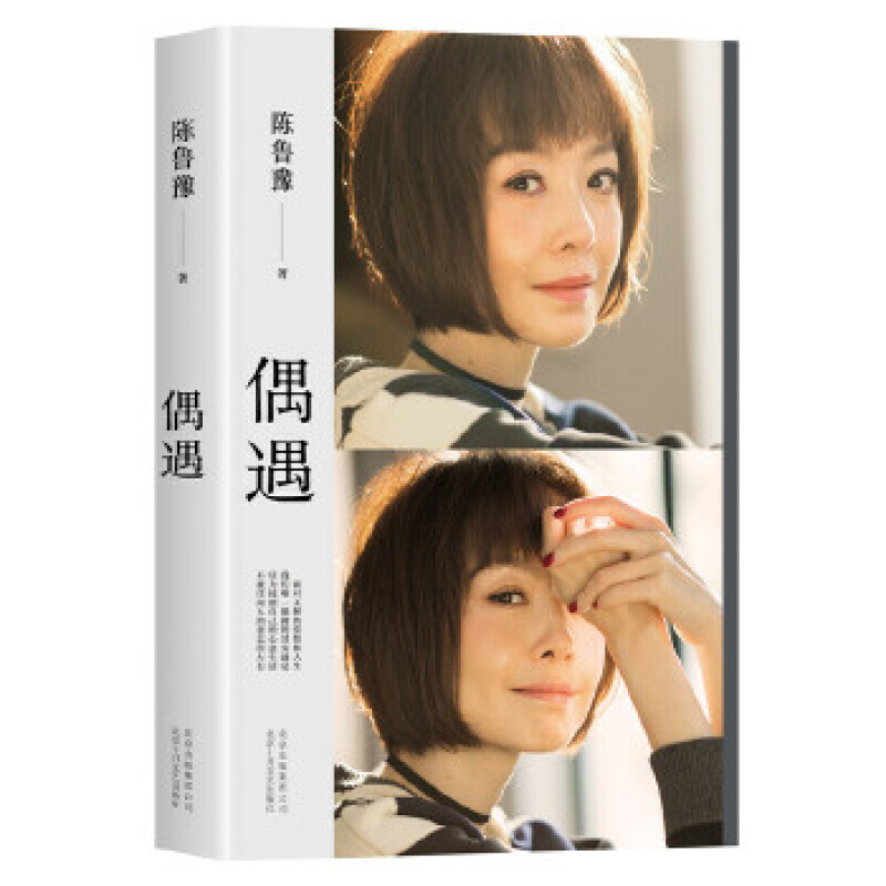 鲁豫：偶遇