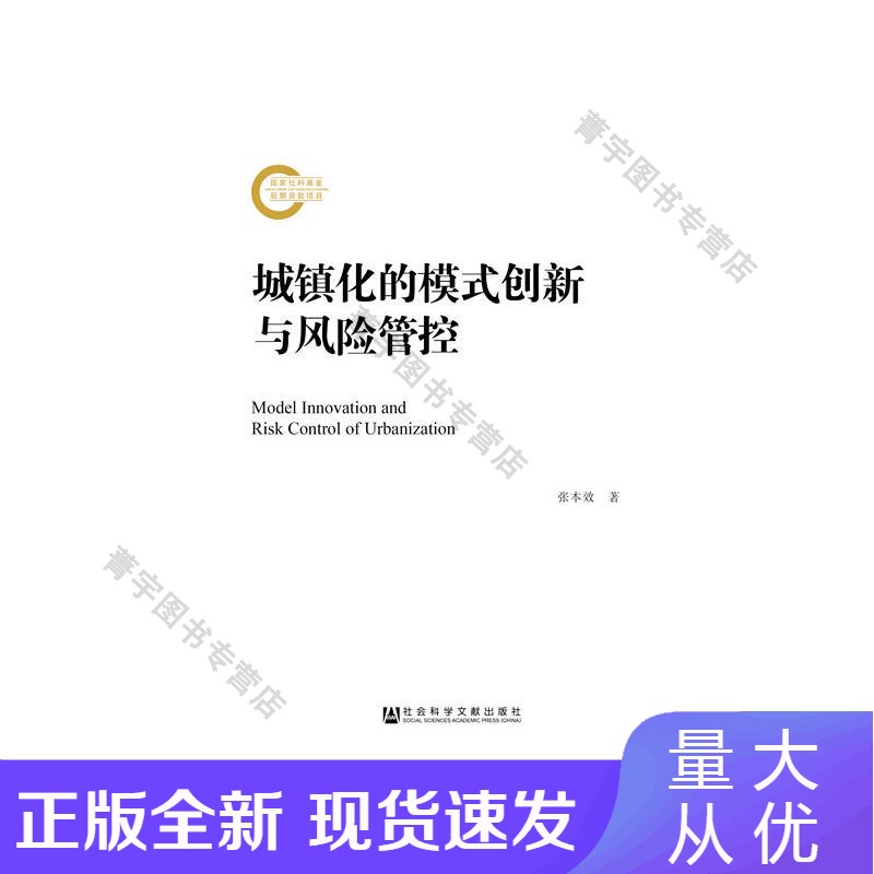 n城镇化的模式创新与风险管控