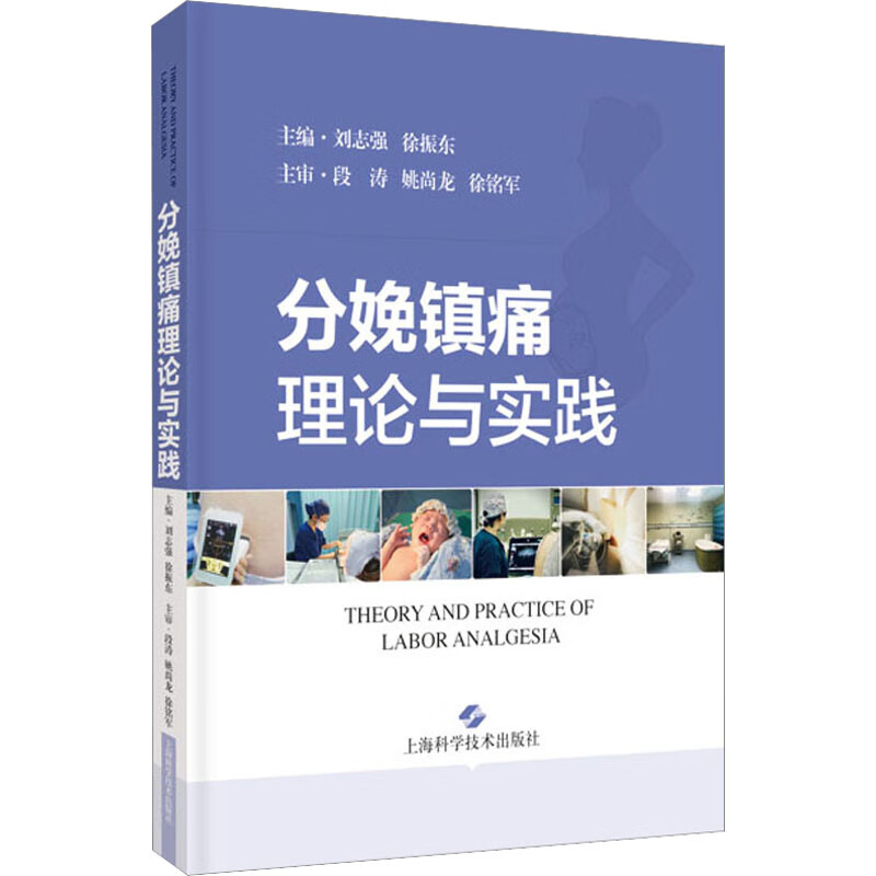 分娩镇痛理论与实践 图书