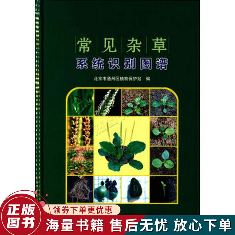 常见杂草系统识别图谱