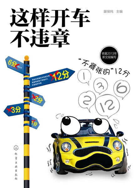 这样开车不违章 裴保纯 主编