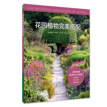 花园植物完美搭配
