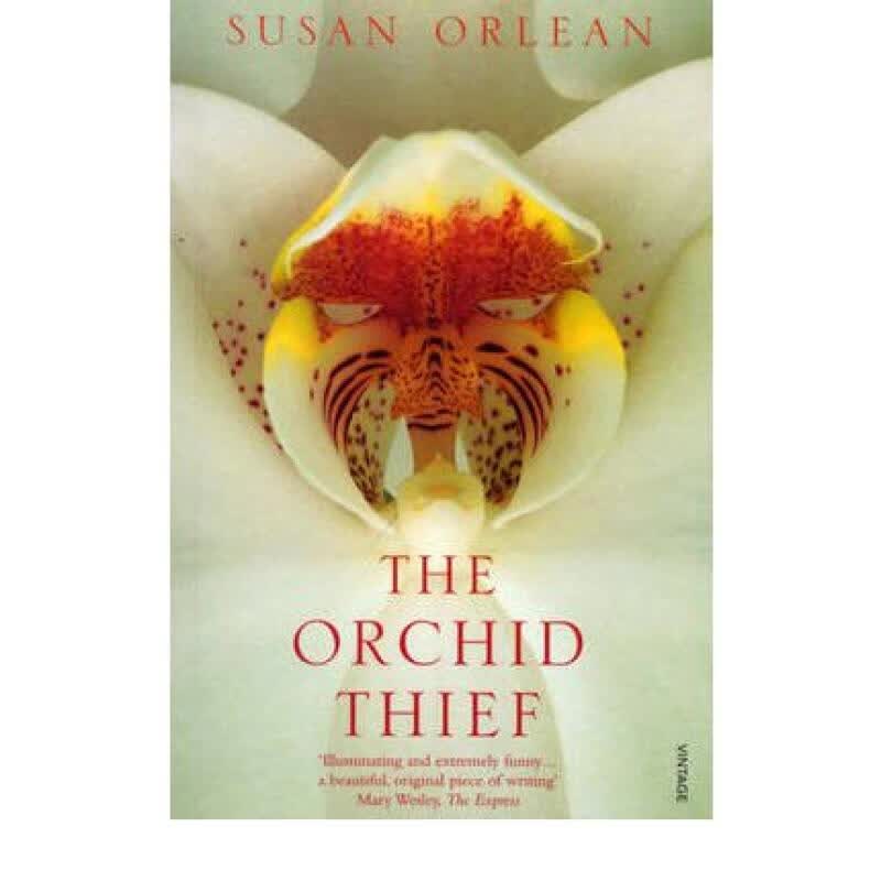 Orchid Thief
