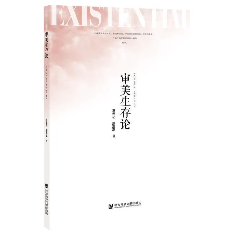审美生存论 王定功,康高磊 出版社 9787520172141