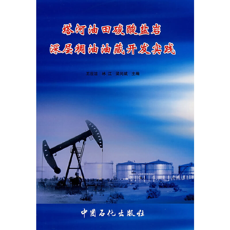 塔河油田碳酸盐岩深层稠油油藏开发实践9787801648518