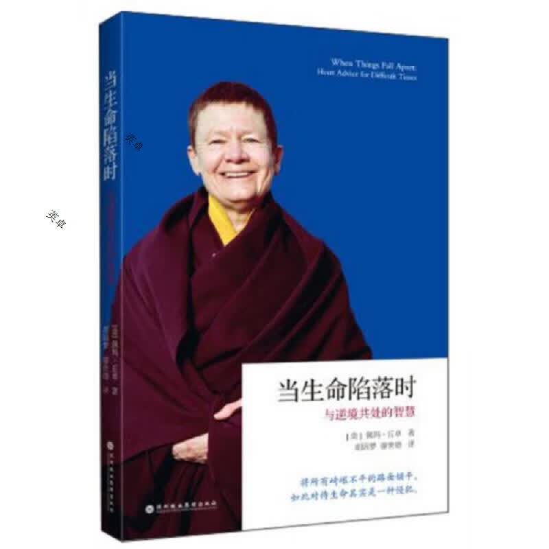当生命陷落时：与逆境共处的智慧