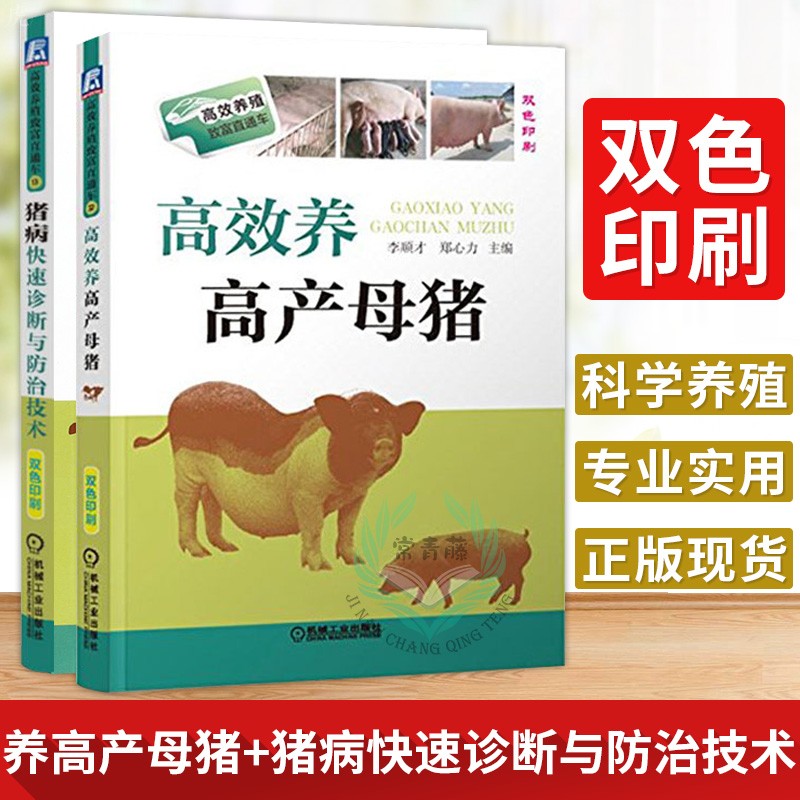 高效养高产母猪+猪病快速诊断与防治技术 养猪技术书籍 母猪养殖技术大全母猪疾病