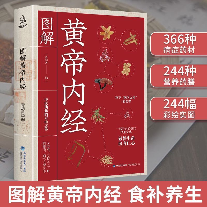 图解经络穴位中医对症按摩大 人体穴位与病症对照图中医 【单册】图解黄帝内经