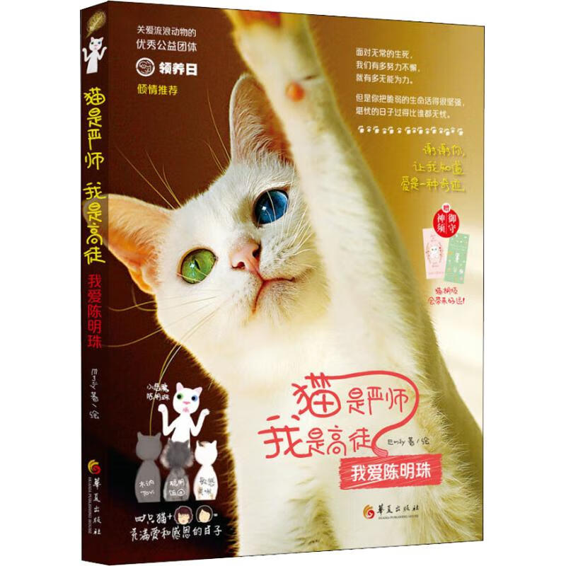 猫是严师 我是高徒 我爱陈明珠