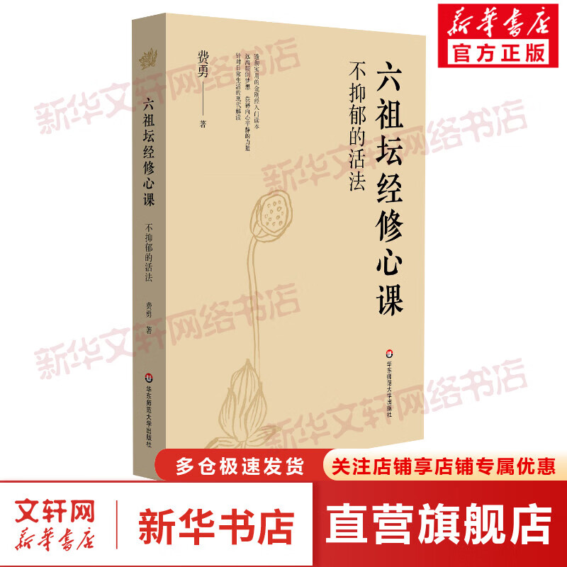不抑郁的活法 六祖坛经修心课 图书