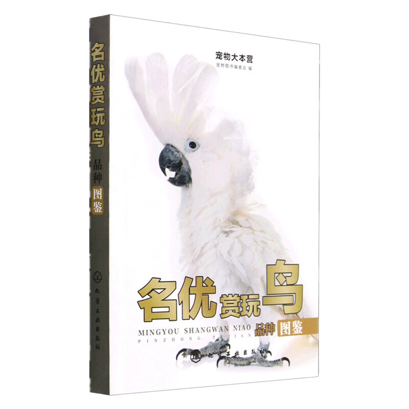名优赏玩鸟品种图鉴-宠物大本营 正货