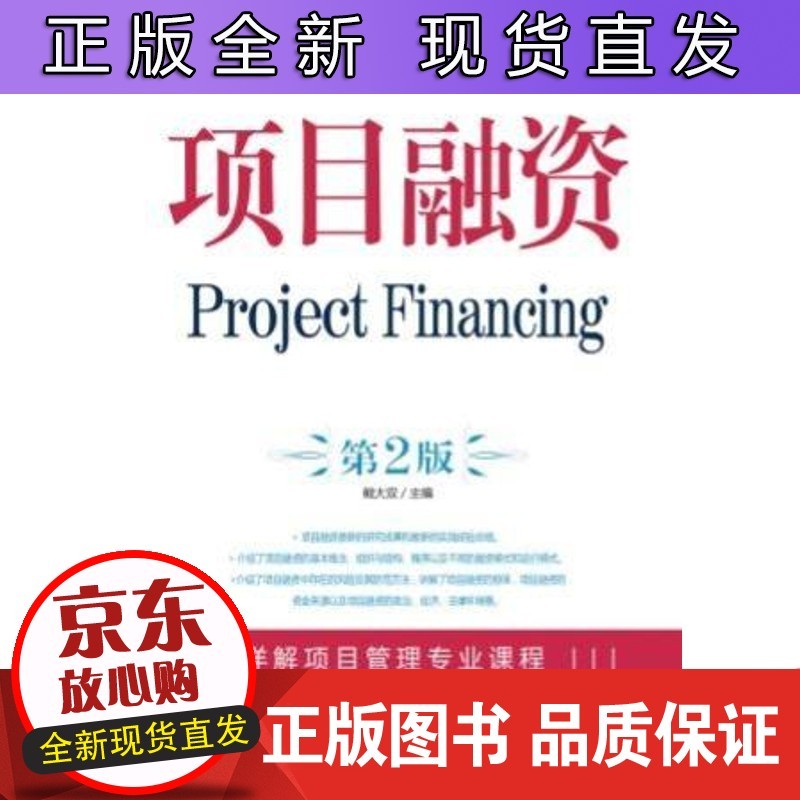 项目融资 戴大双