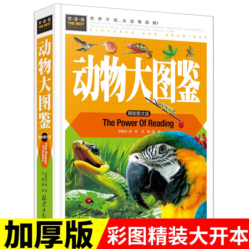 常春藤系列/海底两万里鲁宾孙漂流记金银岛 (精致图文版）精装彩图/三四五六七年级课外畅销书籍 世界文 动物大图鉴