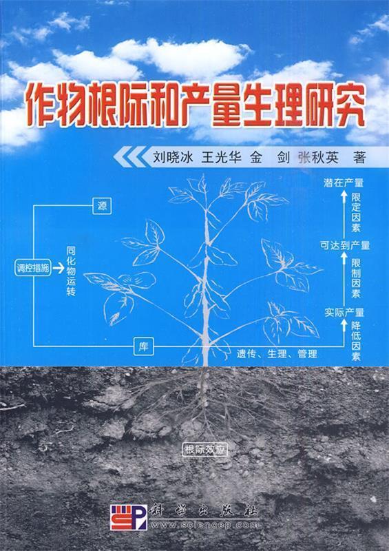 作物根际和产量生理研究 刘晓冰 等著