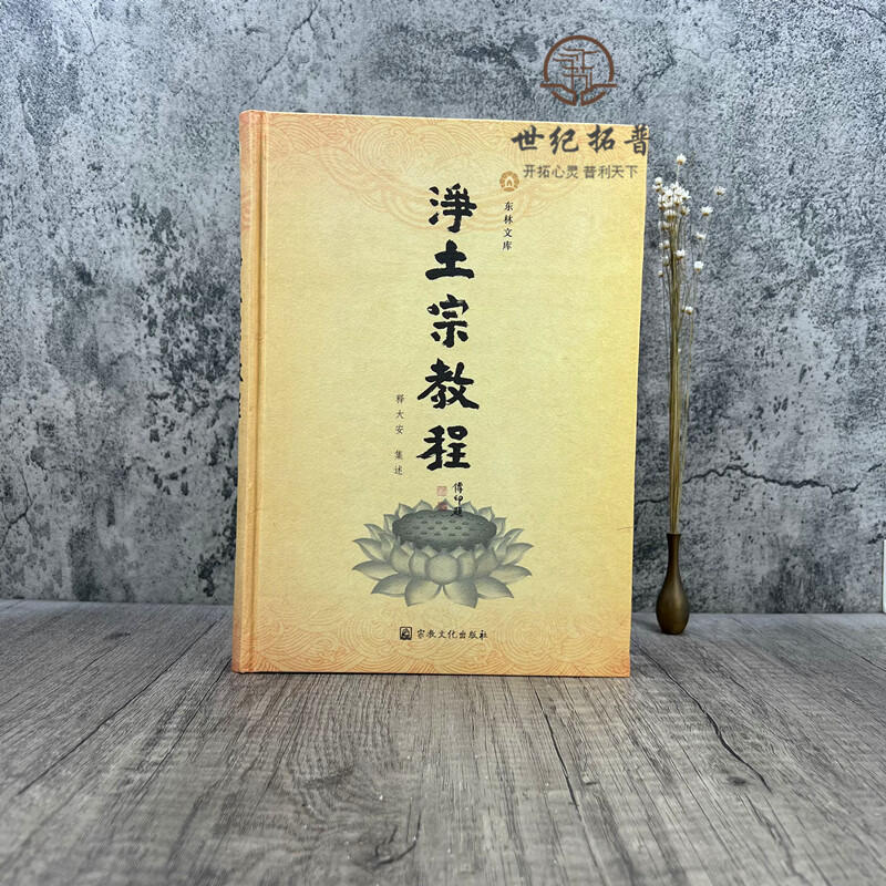 净土宗教程 释大安集述 宗教文化出版社400页