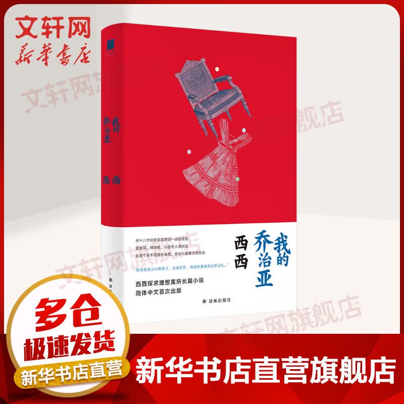 我的乔治亚 西西小说