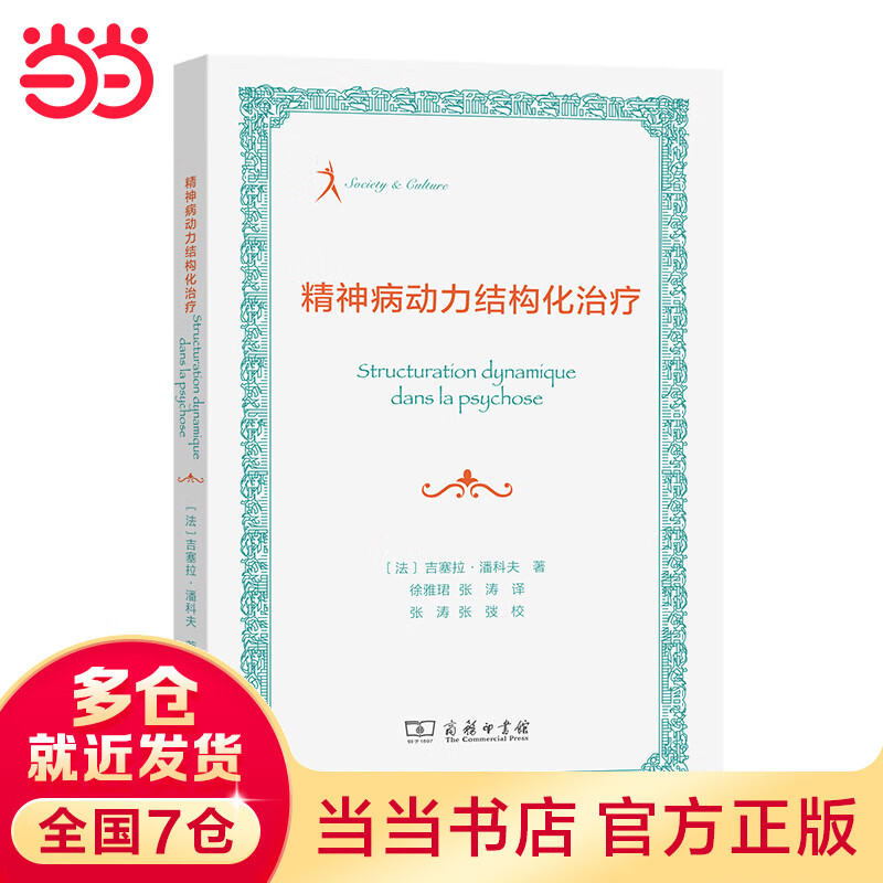 精神病动力结构化治疗(人文社会译丛)