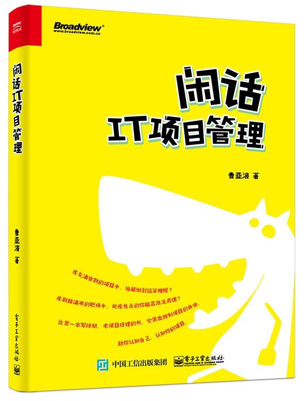 闲话IT项目管理【好书，下单速发】