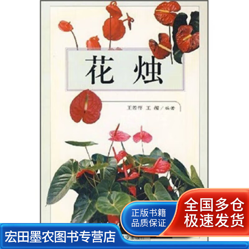 花烛【好书】
