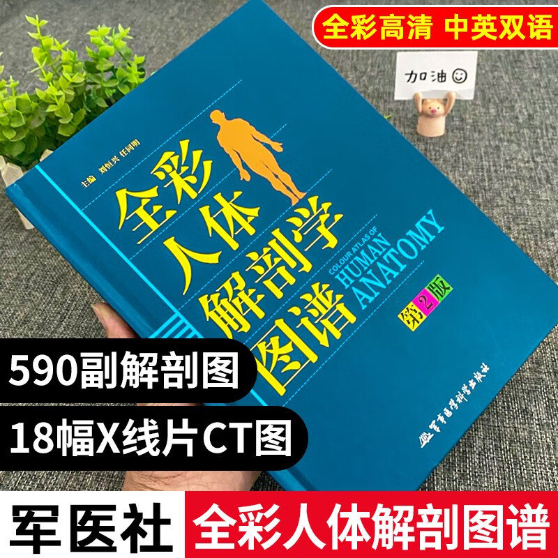 2022新版人体解剖学图谱教材全彩解刨速记人体结构彩色书医学生用书军事医学科学天一中英文标识图人体实物解剖速记构造书籍图鉴