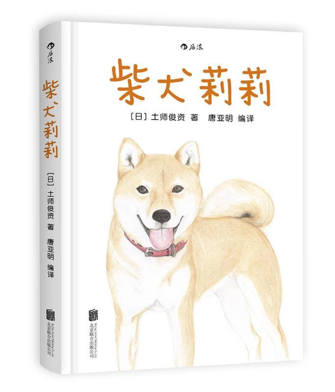 柴犬莉莉