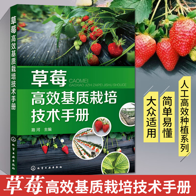 草莓高效基质栽培技术手册 草莓种植书籍大全农业技术果树种植病虫害图谱与防治栽培技术农业书