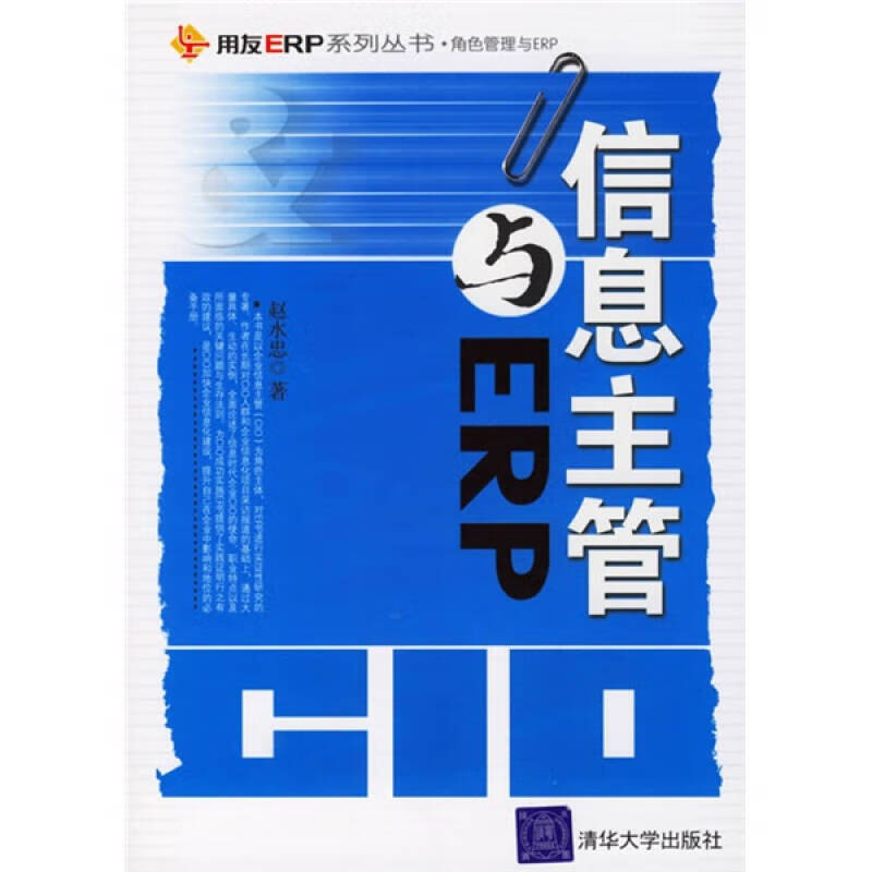 信息主管与ERP【好书】