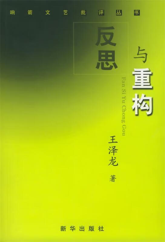 反思与重构 王泽龙 著