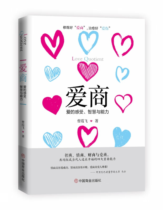 爱商(爱的感受智慧与能力)
