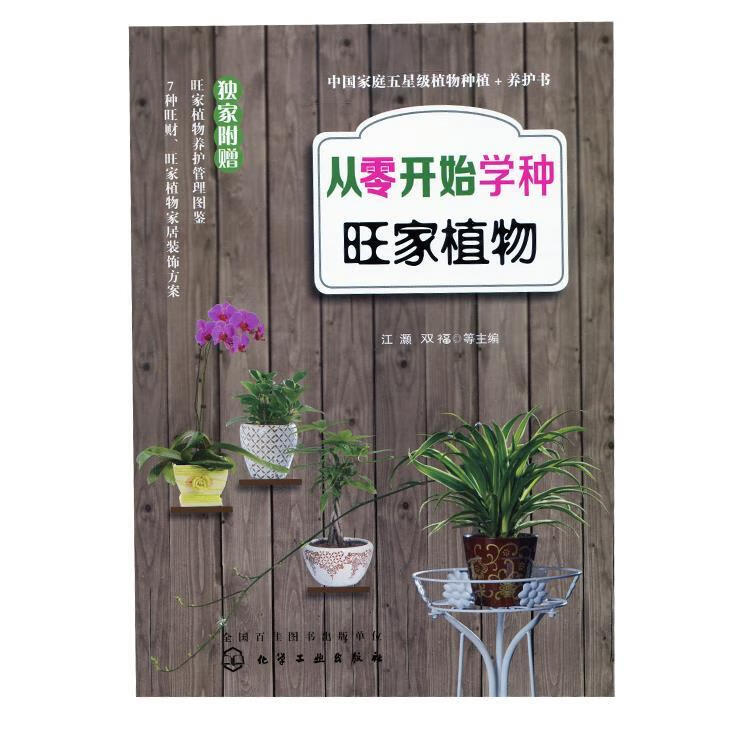 从零开始学种旺家植物【，放心购买】