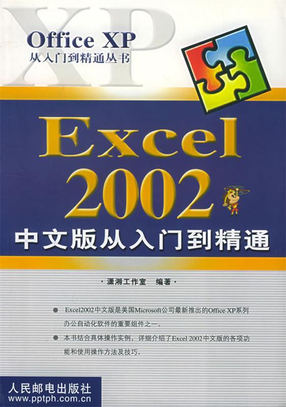 Excel 2002中文版从入门到精通