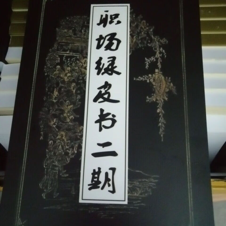 职场绿皮书1期2期 职场权谋厚黑术 职场绿皮书2期