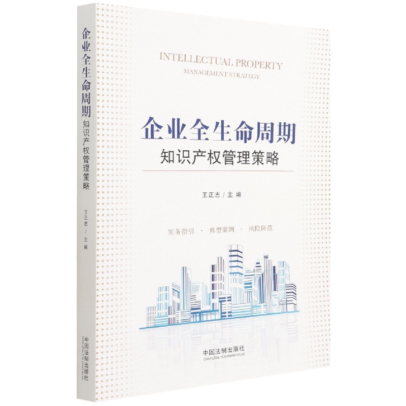 企业全生命周期知识产权管理策略