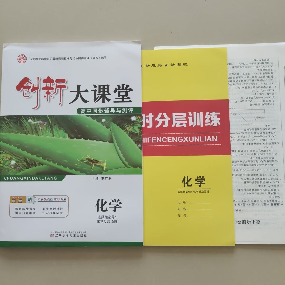 2024创新大课堂 (化学选择性必修册)同步辅导与测评