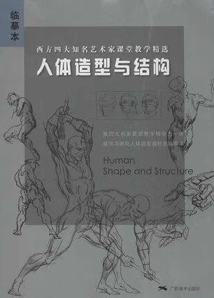 西方四大知名艺术家课堂教学精选：人体造型与结构 广西美术出版社编 广西美术出版社