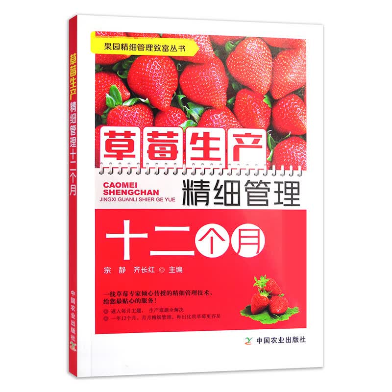 草莓生产精细管理十二个月 育苗栽培技术授技术疏花蔬果技术畸形果防治技术套种技术及病虫害防治草莓栽培