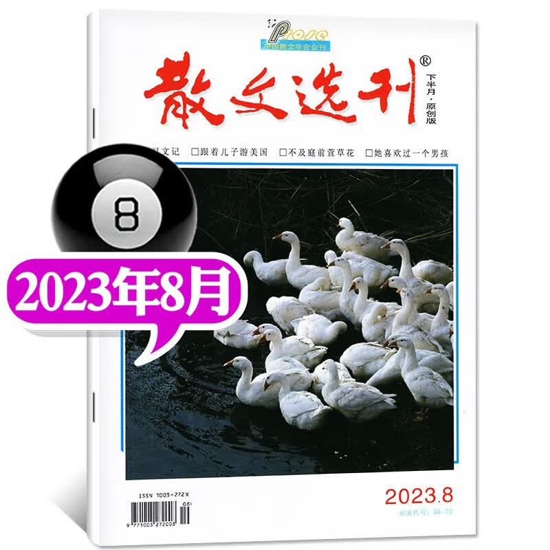 散文选刊原创版杂志2023年8月新【另有近期打包/全年订阅/2022年往期可选】 小说选刊百花文艺短篇文学期刊 【新期】2023年8月