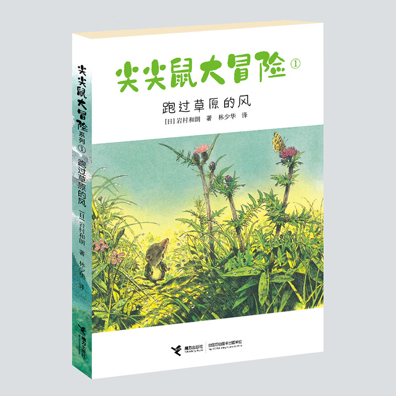 跑过草原的风