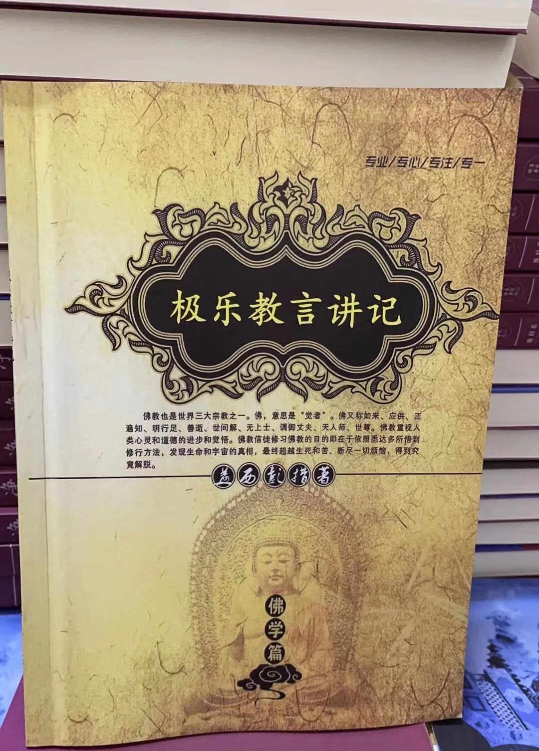 极乐教言讲记